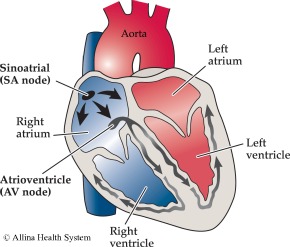 Heart tests and procedures